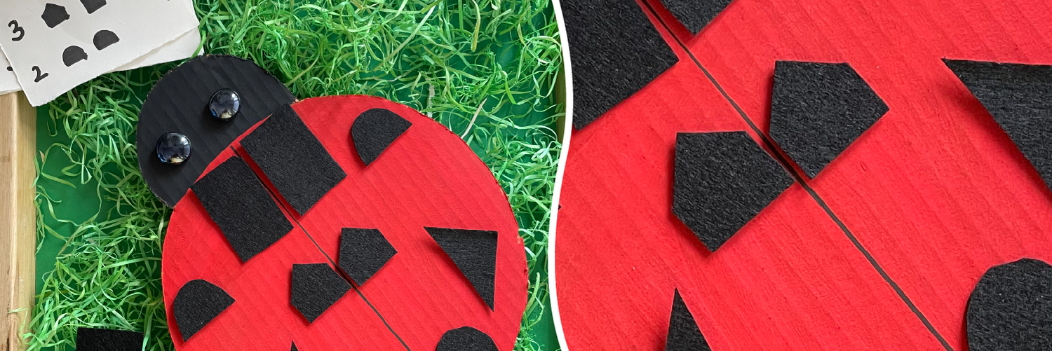 Teach your child symmetry with this fun DIY Ladybug Puzzle – Shumee